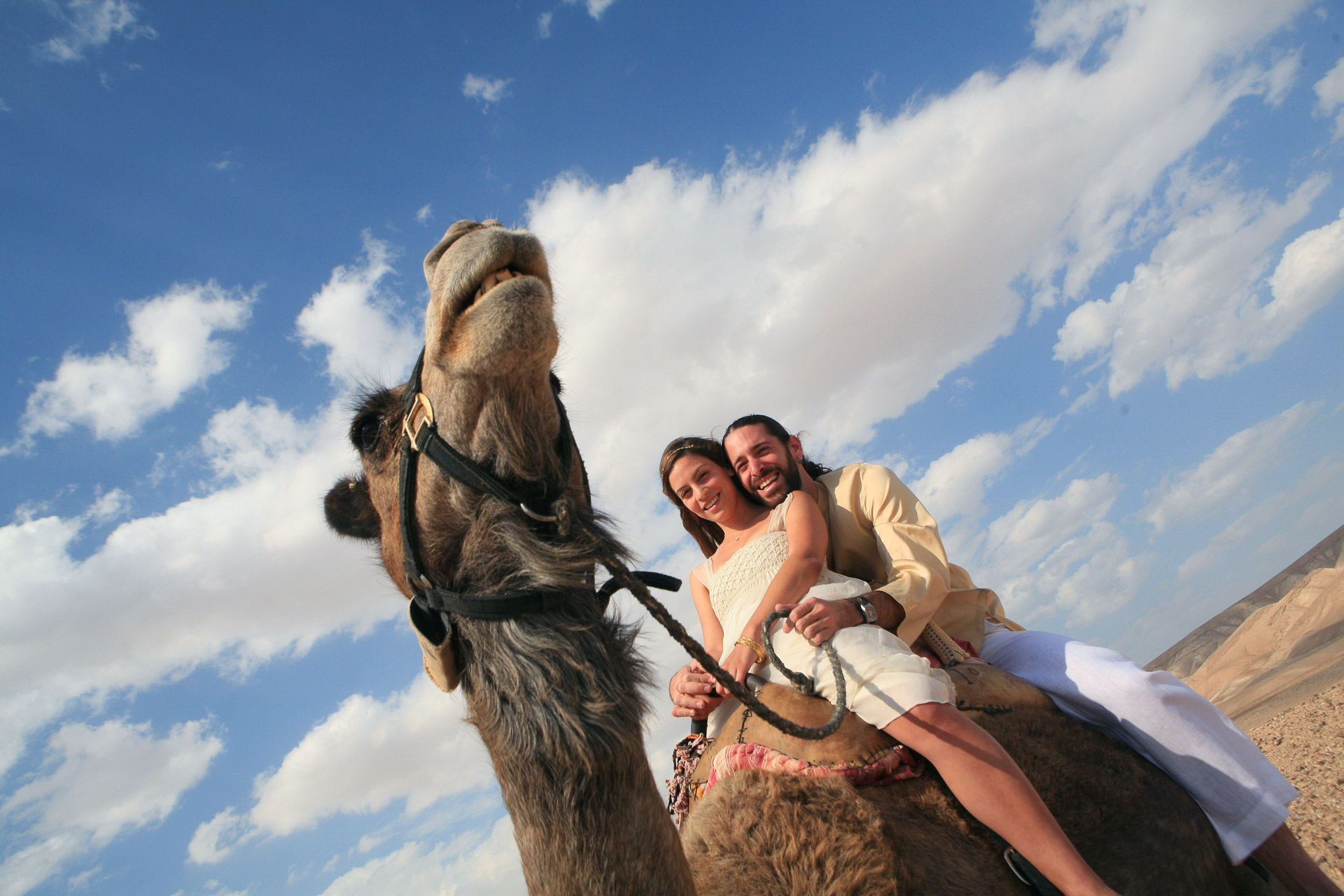 Camel Riding in Israel (Negev Camel Ranch) - Kfar Hanokdim